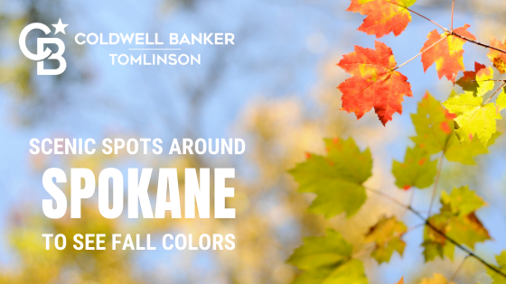 Scenic Spots Around Spokane to See Fall Colors | Coldwell Banker Tomlinson